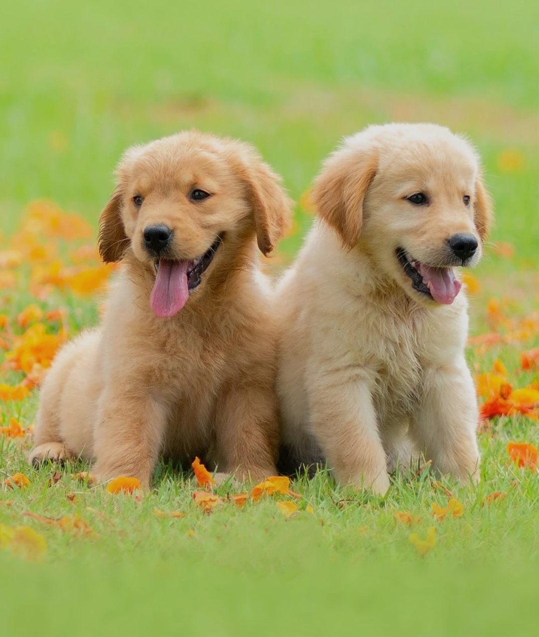 20230620～卧龙复盘～大盘再战穿牛熊线？!_财富号_东方财富网