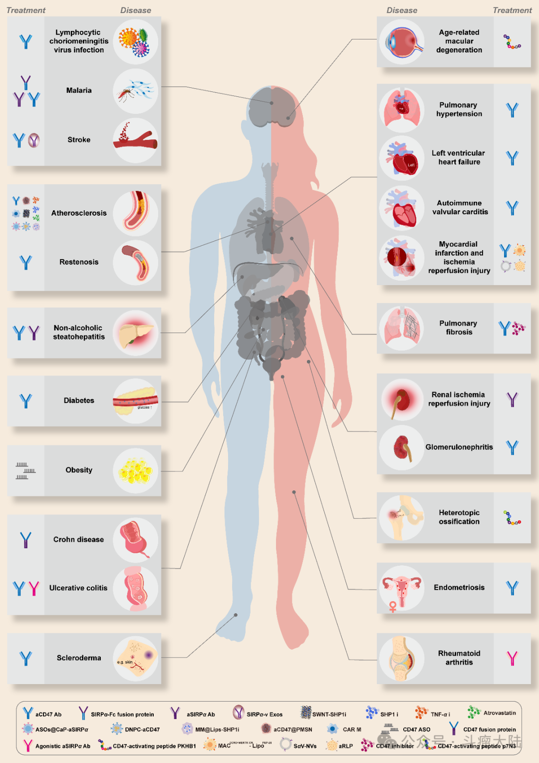 CD47靶点非癌疾病潜在适应症研究提上日程。IMM01成药后或超178个适应症研究。大面积适应症临床实验将开展。_财富号_东方财富网
