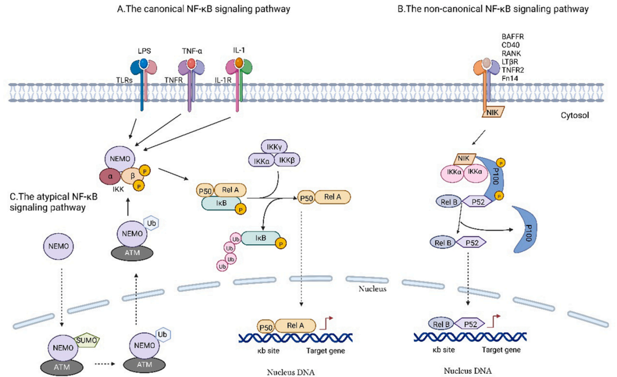 行业研究报告|当“不可成药”的转录因子做成药_财富号_东方财富网
