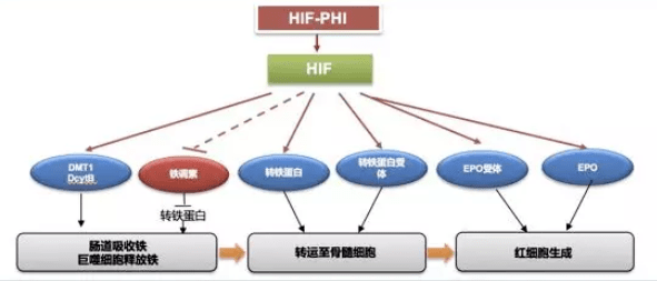 煜森资本：年卖14亿，这款创新药的首仿争夺战打响_财富号_东方财富网