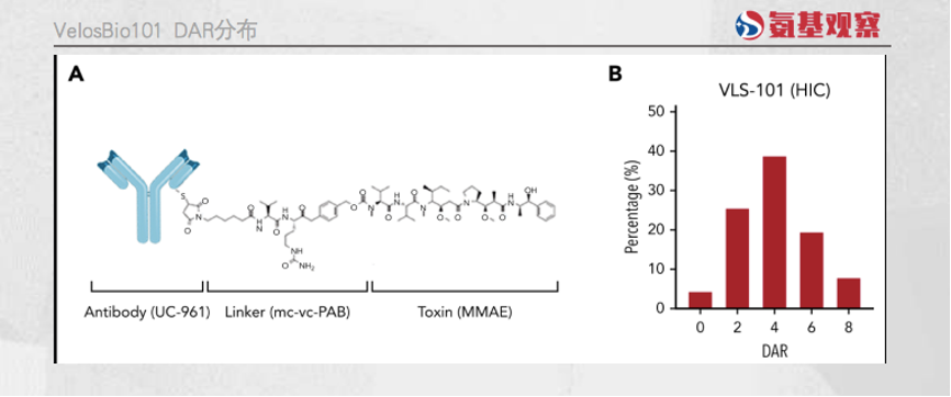 从做大规模到做深价值，读懂创新药企的跃迁脉络_财富号_东方财富网