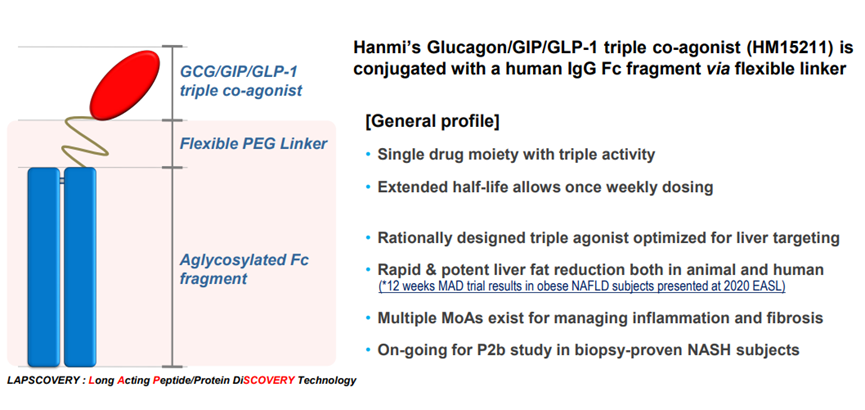 【产业洞察】GLP-1RA长效策略：联合融合蛋白/抗体技术，续写“延长GLP-1半衰期”的新篇章_财富号_东方财富网