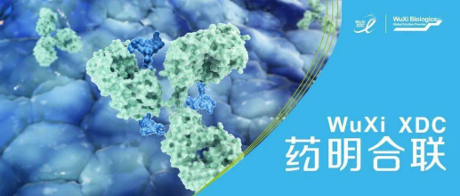 药明合联港股IPO，能否撑起生物偶联药物市场的新希望？_财富号_东方财富网