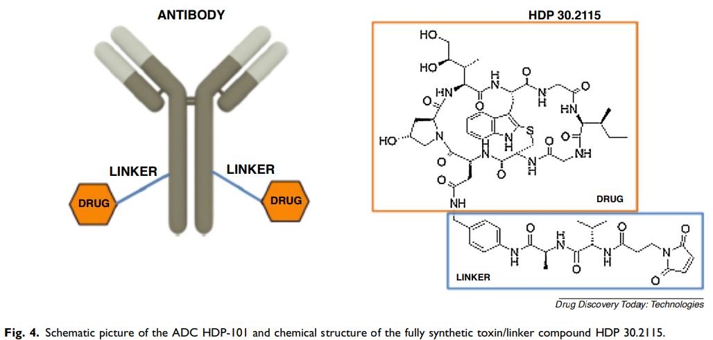 Heidelberg第三代ADC技术，采用鹅膏蕈碱_财富号_东方财富网