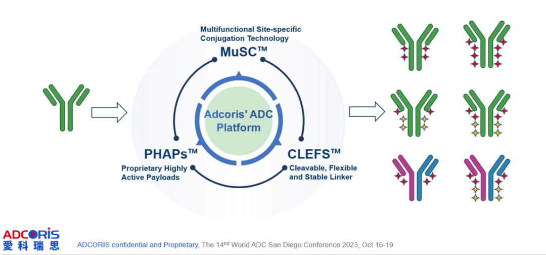 爱科瑞思5T4 ADC在华申报临床_财富号_东方财富网