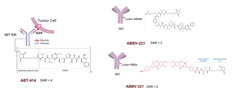 国内企业领跑EGFR ADC！为突变耐药带来新生机_财富号_东方财富网