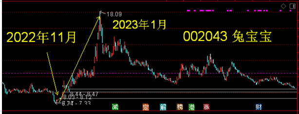 002682 龙洲股份——兔去龙来之际，龙字辈再度活跃。_财富号_东方财富网