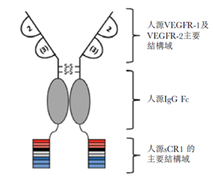 nAMD眼科市场明年生变，哪些“VEGF+”企业需重点关注？_财富号_东方财富网