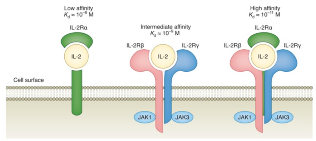 医药一哥二哥，争一个靶点_财富号_东方财富网