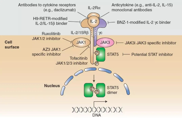 医药一哥二哥，争一个靶点_财富号_东方财富网