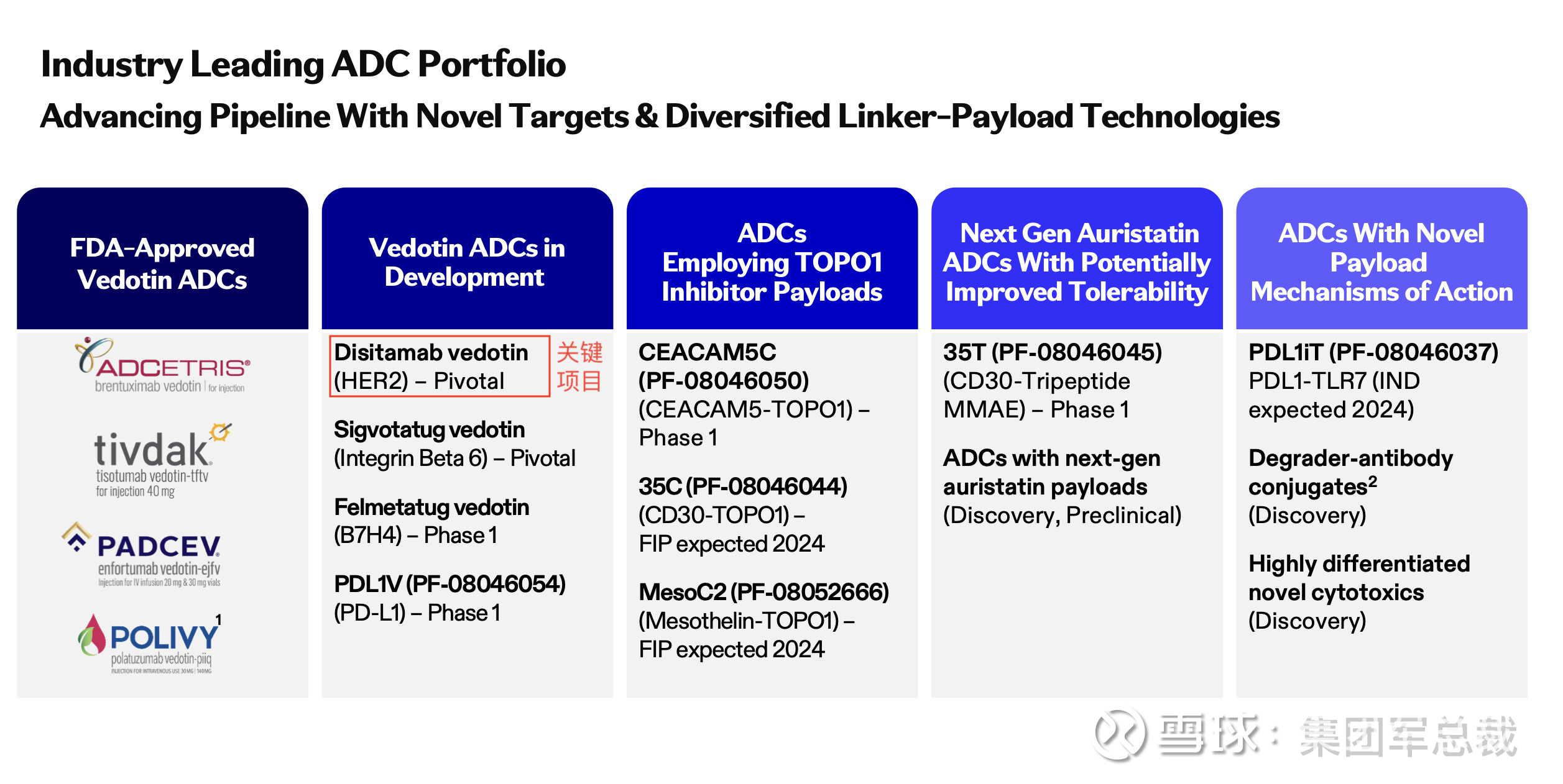 辉瑞将荣昌生物RC48维迪西妥单抗列为重点开发对象！为辉瑞未来8款重磅炸弹之一！_财富号_东方财富网