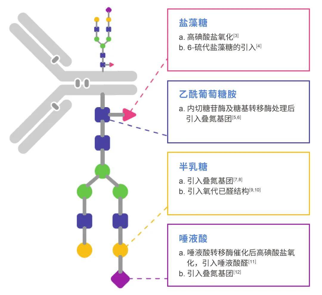 一文剖析：探索糖基化在药物偶联中的优势_财富号_东方财富网