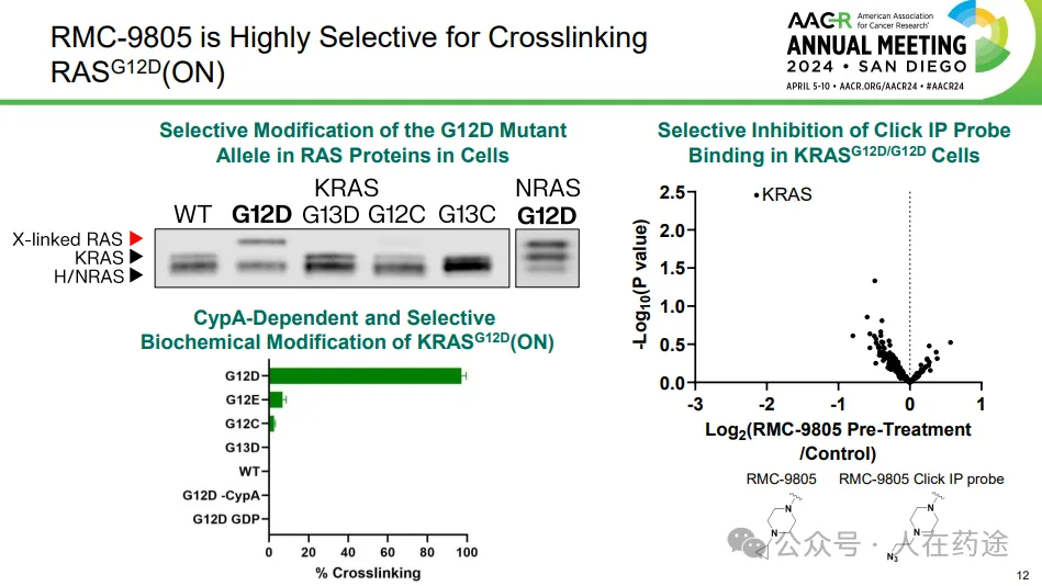 KRASG12D（ON）抑制剂RMC-9805结构与临床前数据公开_财富号_东方财富网