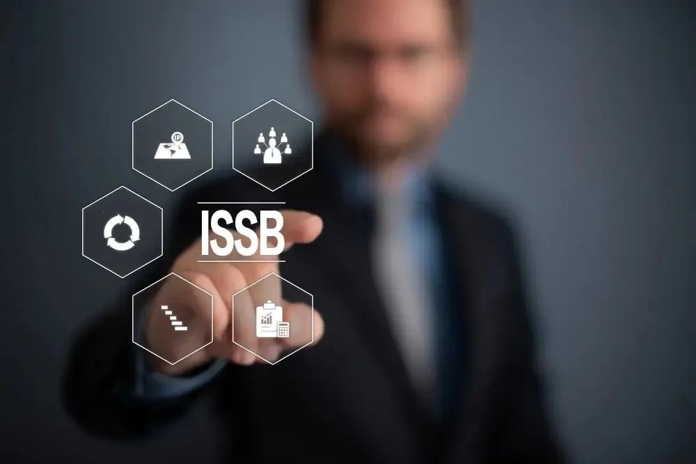 快速对标｜上市公司可持续发展报告指引＆ISSB准则，有何异同？_财富号_东方财富网