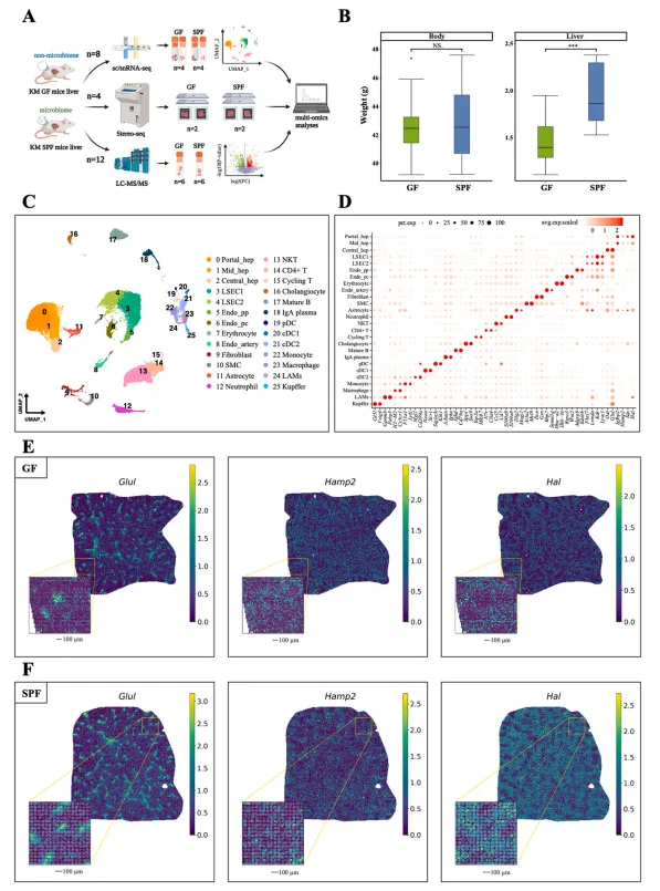 连续入驻数十家生态伙伴！DNBSEQ-T7全方位赋能大人群、细胞组学、时空组学等多领域应用_财富号_东方财富网