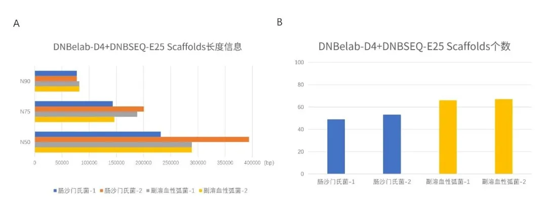 病原体快速识别！DNBelab-D4搭配DNBSEQ平台助推国家致病菌识别网开展监测_财富号_东方财富网