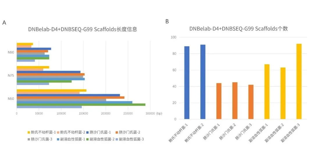 病原体快速识别！DNBelab-D4搭配DNBSEQ平台助推国家致病菌识别网开展监测_财富号_东方财富网