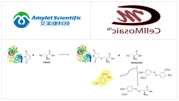 CellMosaic马来酰亚胺检测试剂盒，助力内部生物偶联相关研究_财富号_东方财富网