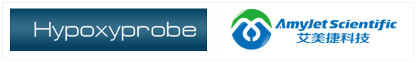 Hypoxyprobe/艾美捷Hypoxyprobe-1 Kit性能参数&检测说明_财富号_东方财富网