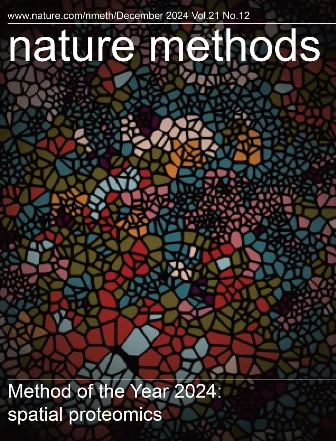 空间蛋白组学！Nature Methods 2024年度方法出炉，华大智造FluoXpert提供一体化智能工具_财富号_东方财富网