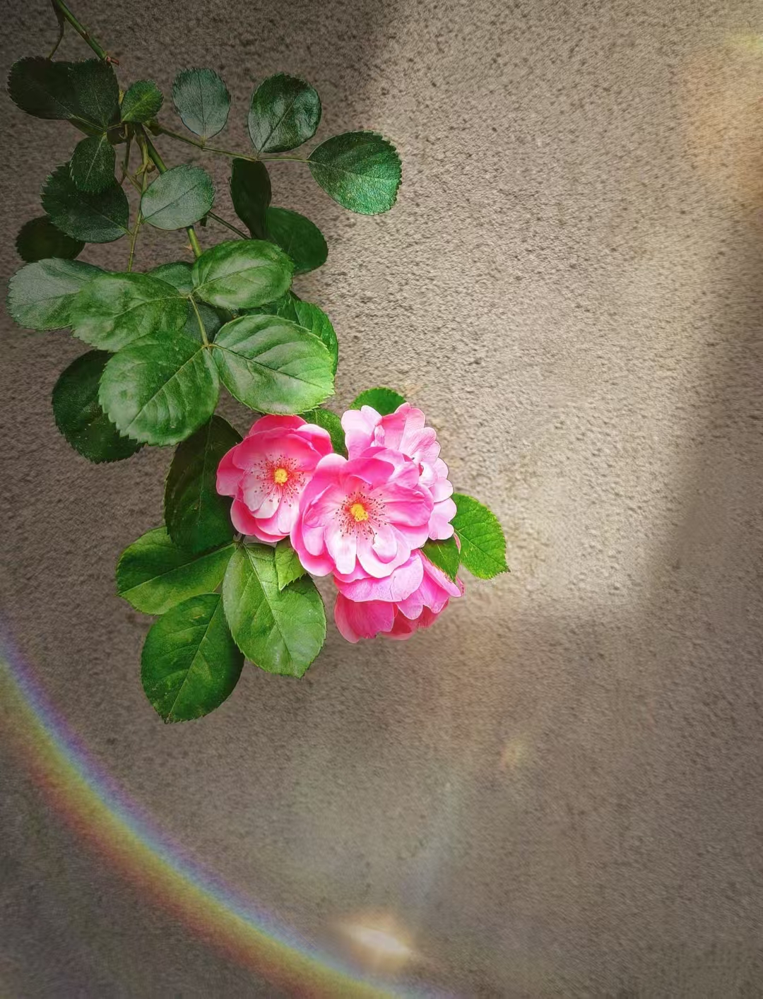 临时贴4月23日（青岛金王，卧龙电驱，硕贝德）_财富号评论(cfhpl)股吧_东方财富网股吧