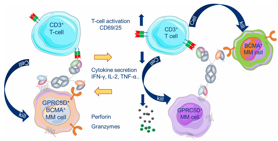 ORR高达86%！强生三抗药物公布首个临床数据_财富号_东方财富网