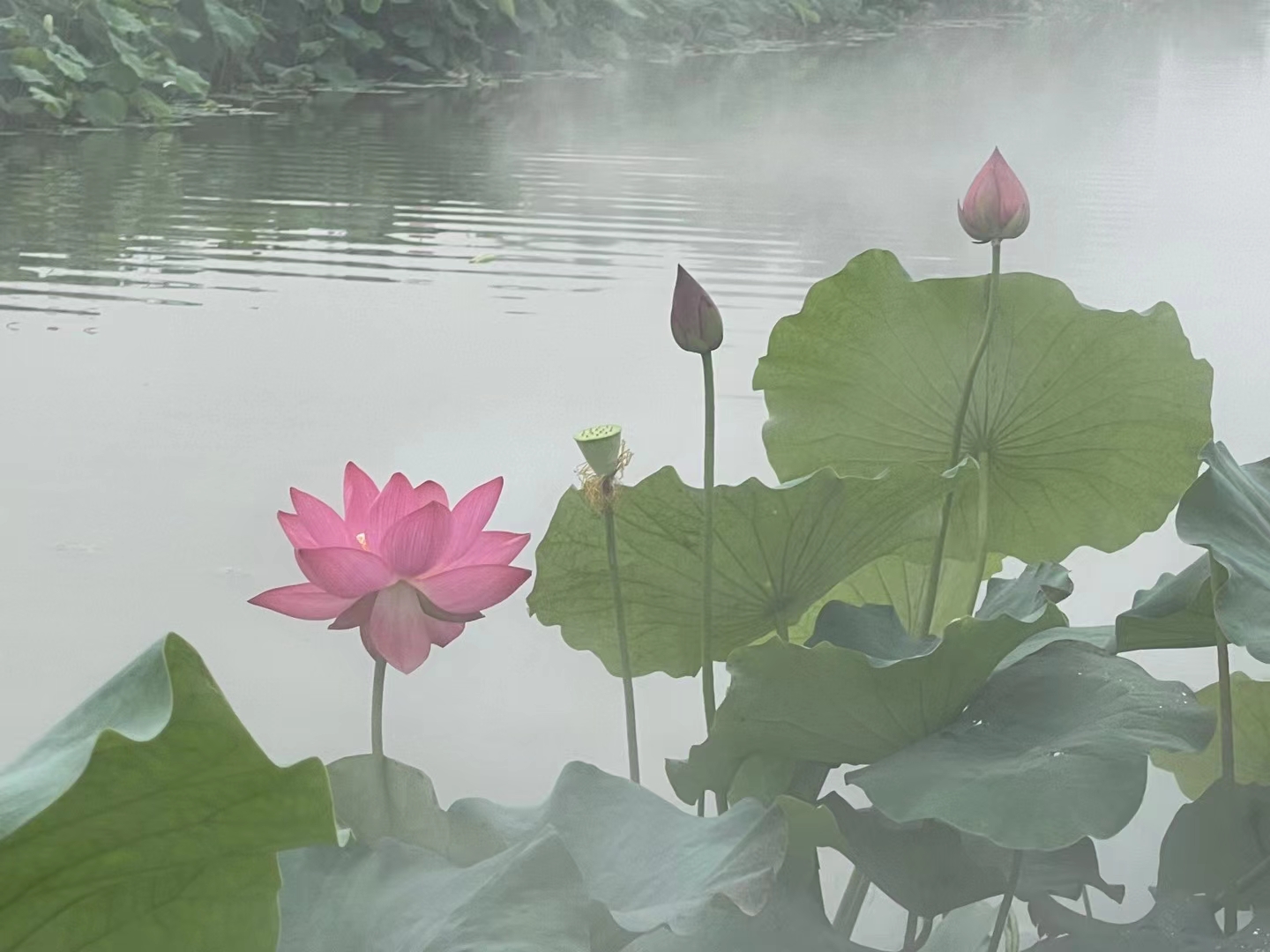 临时贴6月9日~（尤夫股份，保变电气，凯美特气）_财富号评论(cfhpl)股吧_东方财富网股吧