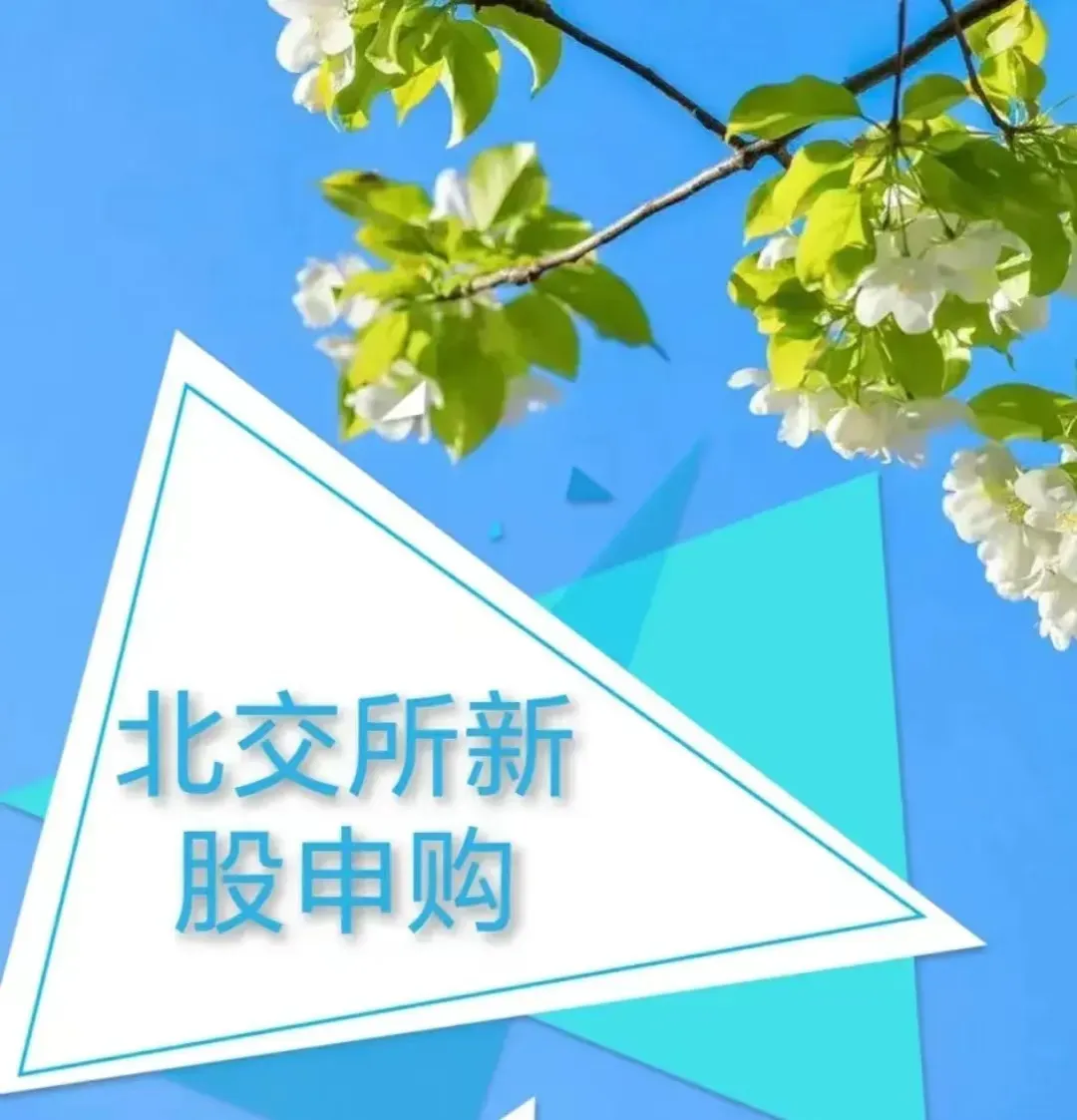 北交所新股首日买卖：参考那个指标最合适_财富号评论(cfhpl)股吧_东方财富网股吧