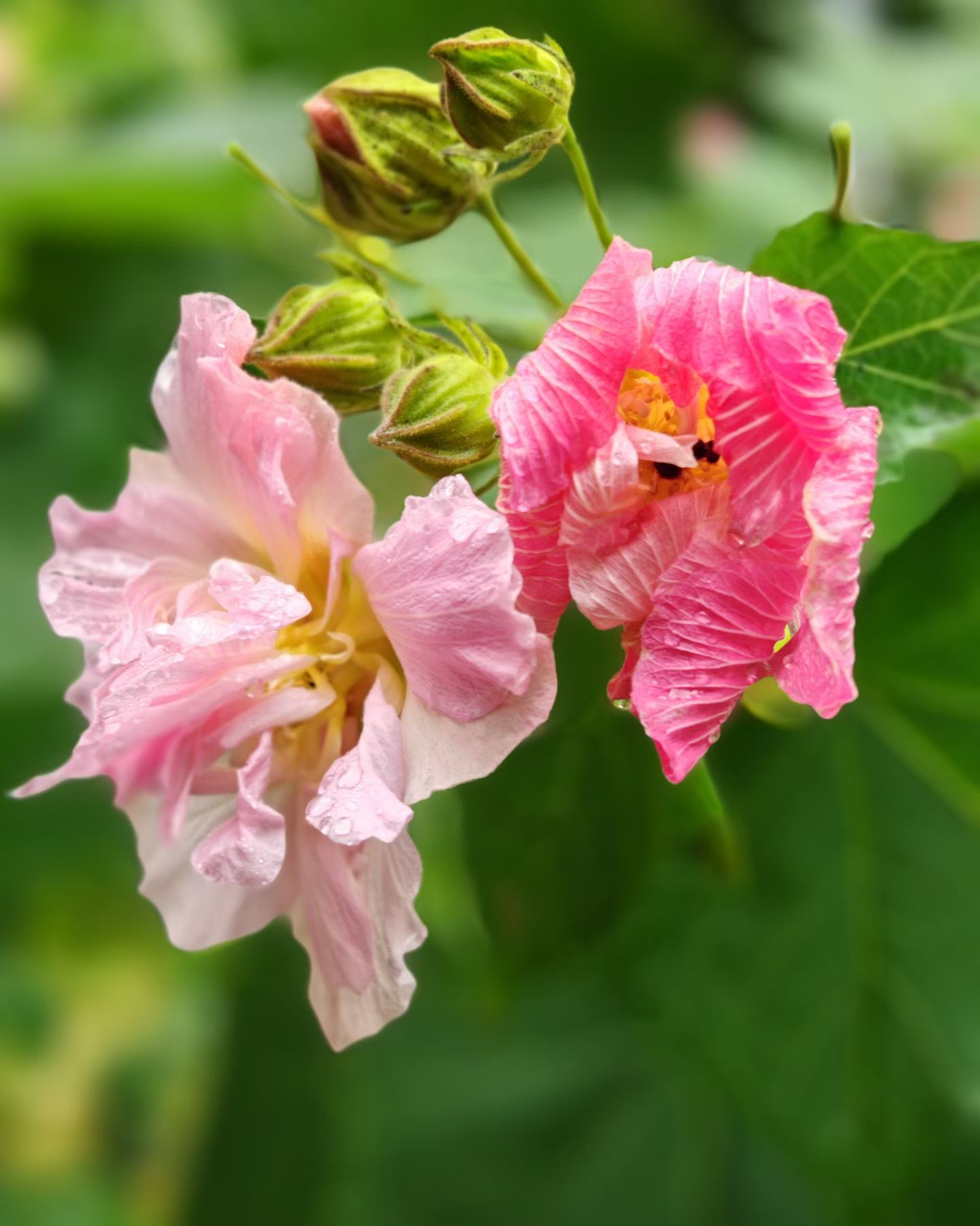 临时贴10月30日~（先导智能，银之杰，宝泰隆）_财富号评论(cfhpl)股吧_东方财富网股吧