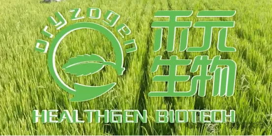 稻米造血第一股！坐拥全球突破性技术，商业化在即，能否撑起400多亿市值？_财富号评论(cfhpl)股吧_东方财富网股吧