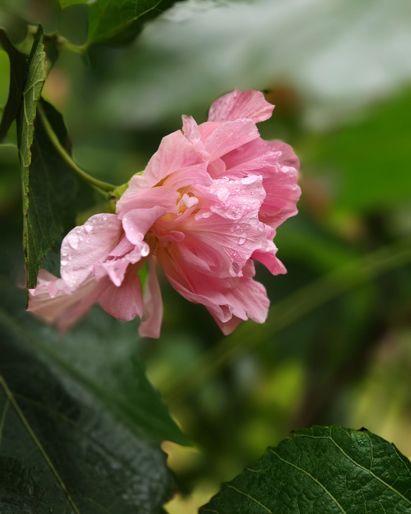 临时贴11月6日~（先导智能，银之杰，宝泰隆）_财富号评论(cfhpl)股吧_东方财富网股吧