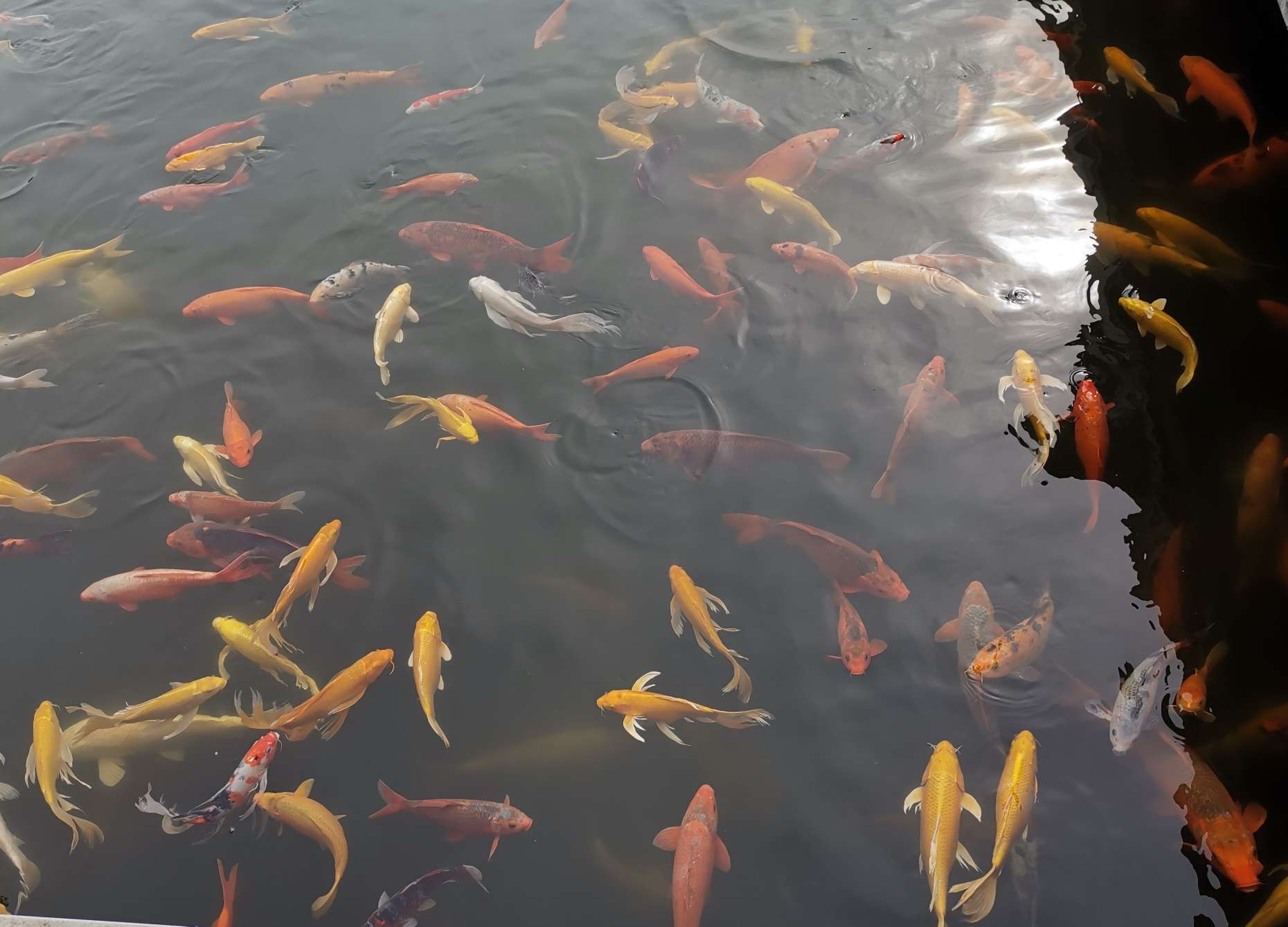 际华3502与北方装备有限责任公司进行战略合作签约01-1717:17际华集团官_财富号_东方财富网