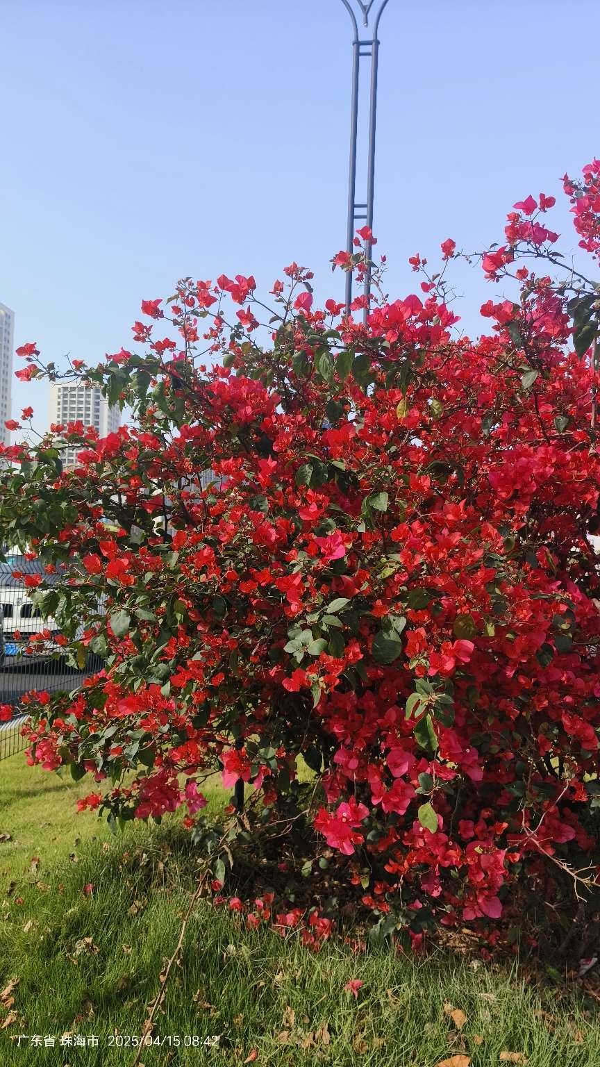 《ST德豪：目前已为华为问界M9～M7等多家新能源汽车企业主力车型量产供货》格隆_财富号_东方财富网